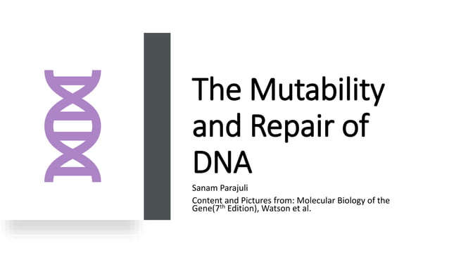 The Mutability and Repair of DNA | PPTX | Biological Sciences | Science