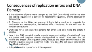 The Mutability and Repair of DNA | PPTX