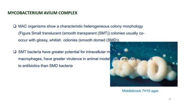 The mycobacterium avium complex and slowly growing mycobacterium | PPTX