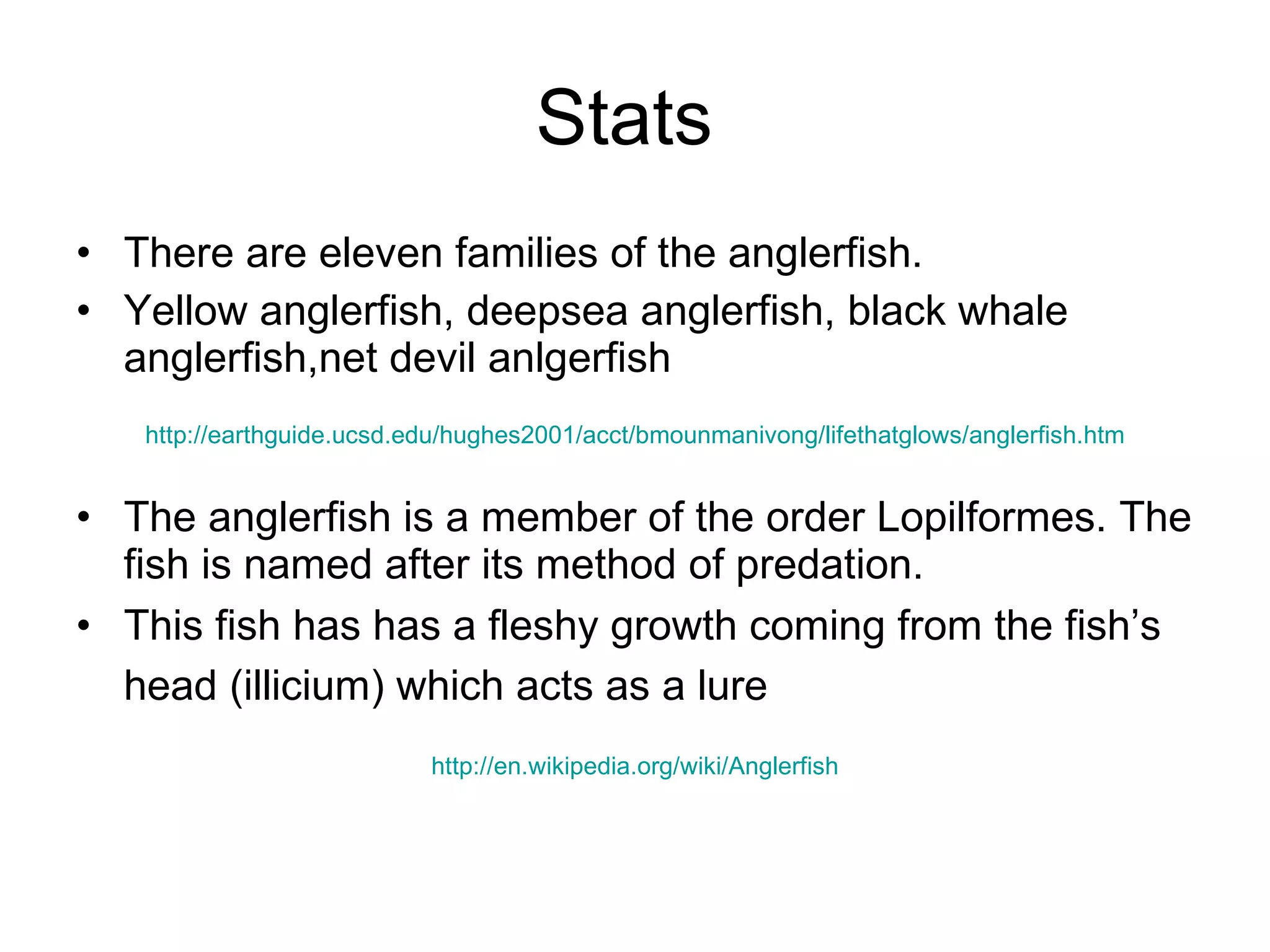 The mysterious adventures and life of the anglerfish | PPT
