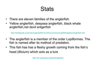 The mysterious adventures and life of the anglerfish | PPT