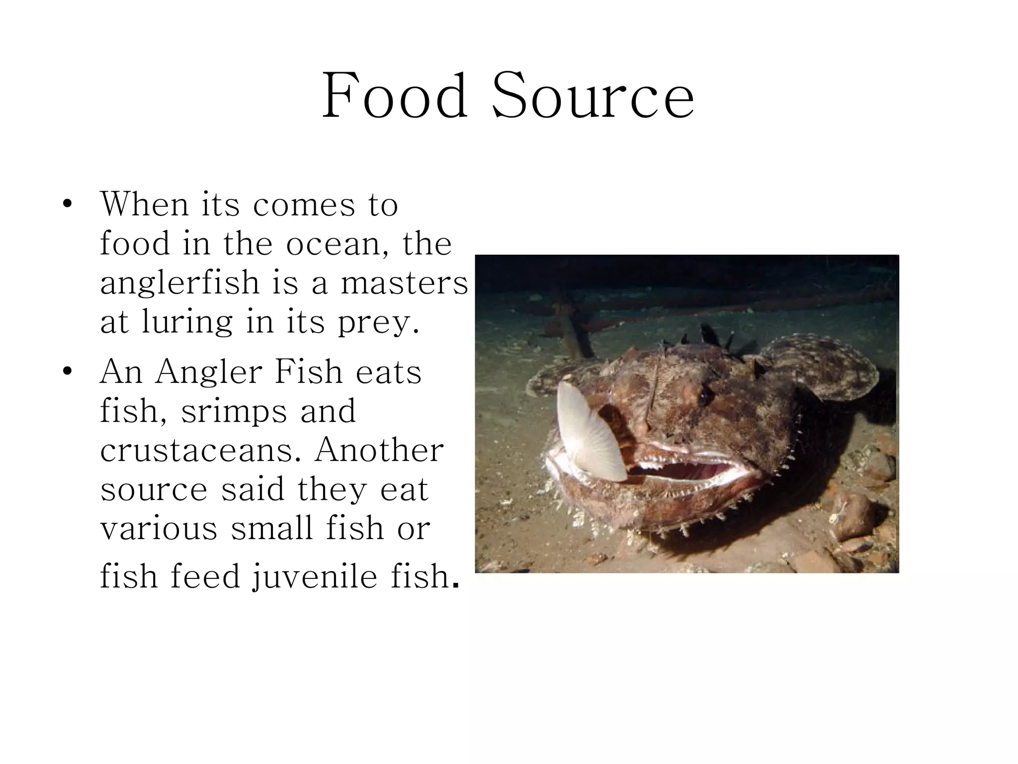 The mysterious adventures and life of the anglerfish (complete) | PPT