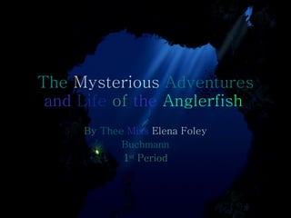 The mysterious adventures and life of the anglerfish (complete) | PPT