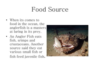 The mysterious adventures and life of the anglerfish (complete) | PPT