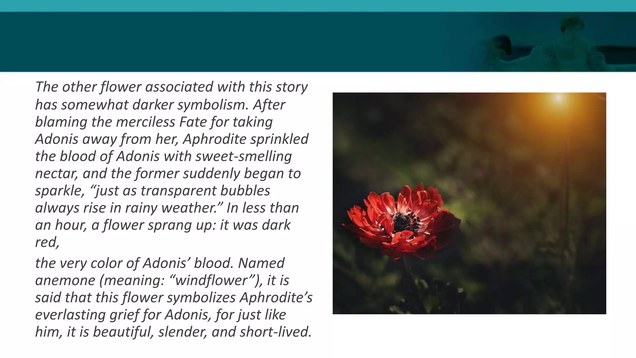 The myth of adonis and aphrodite | PPT