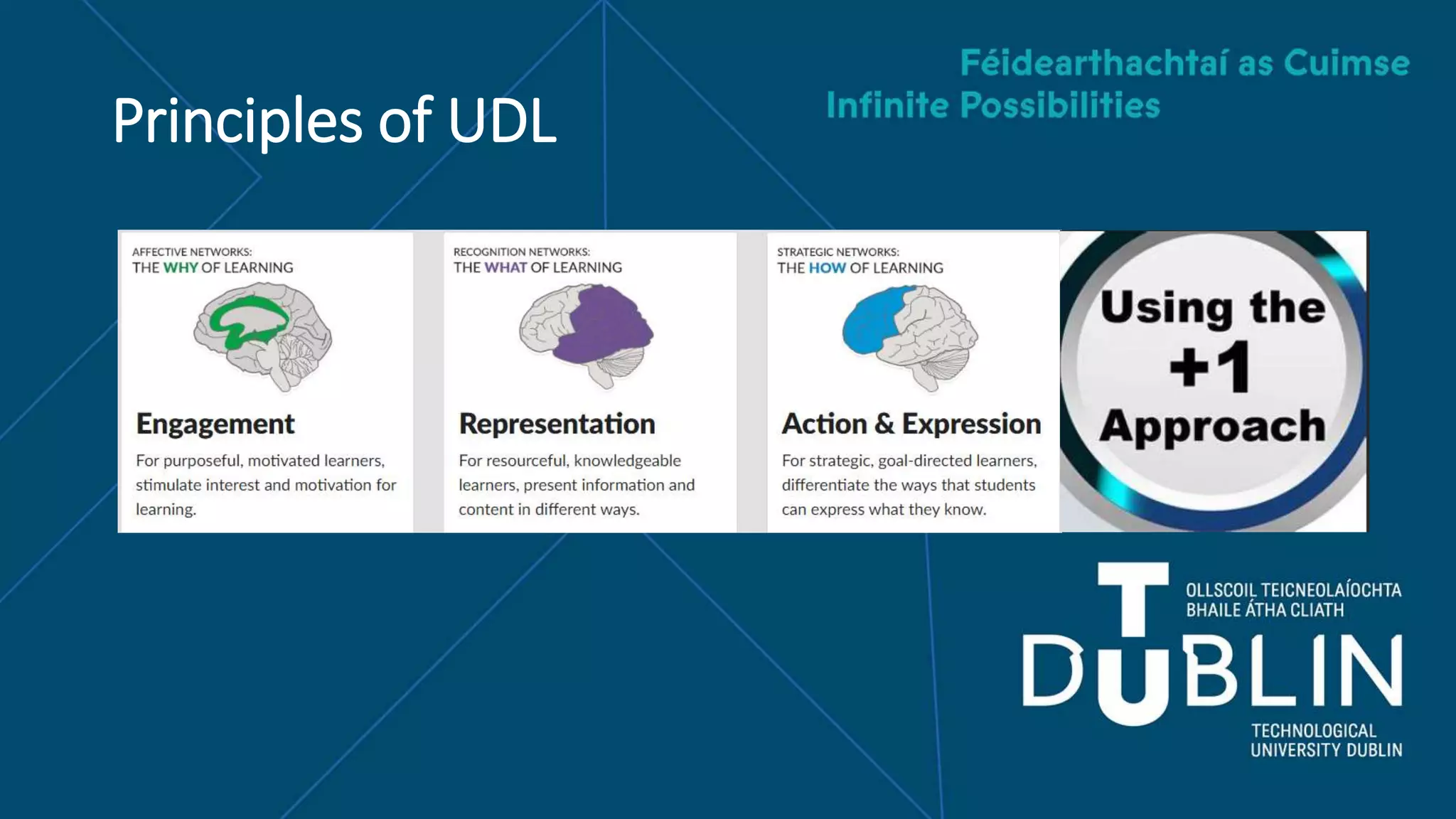 The National Access Plan and the future of library classes | PPTX