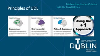 The National Access Plan and the future of library classes | PPTX