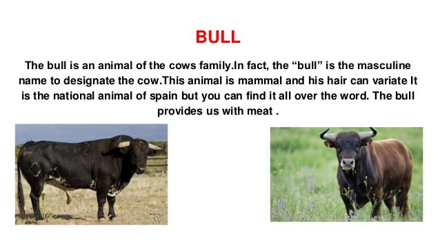 The national animal of spain