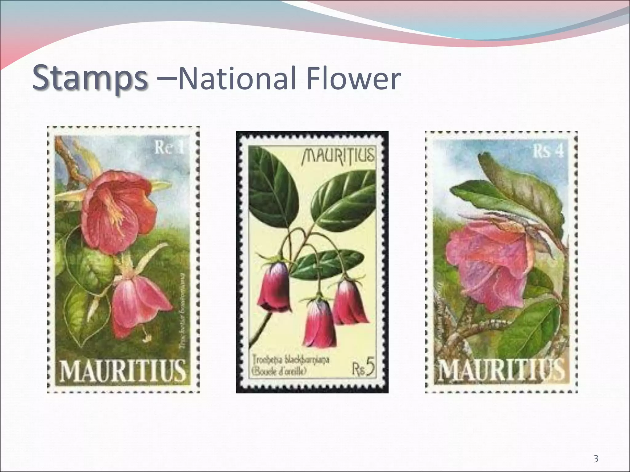 The national flower of mauritius | PDF