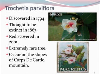 The national flower of mauritius | PDF