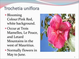 The national flower of mauritius | PDF