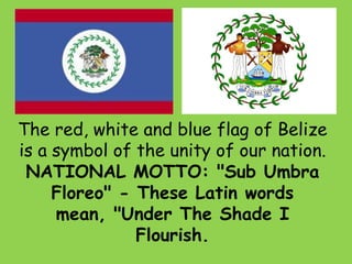 The National Symbols of Belize | PPTX