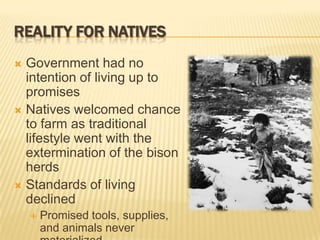The Native Treaties | PPTX