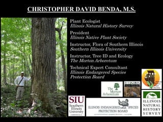 The native wild ferns of southern illinois | PPTX