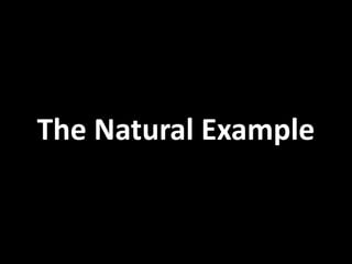 The Natural Example Slides, 6/15/14 | PPT