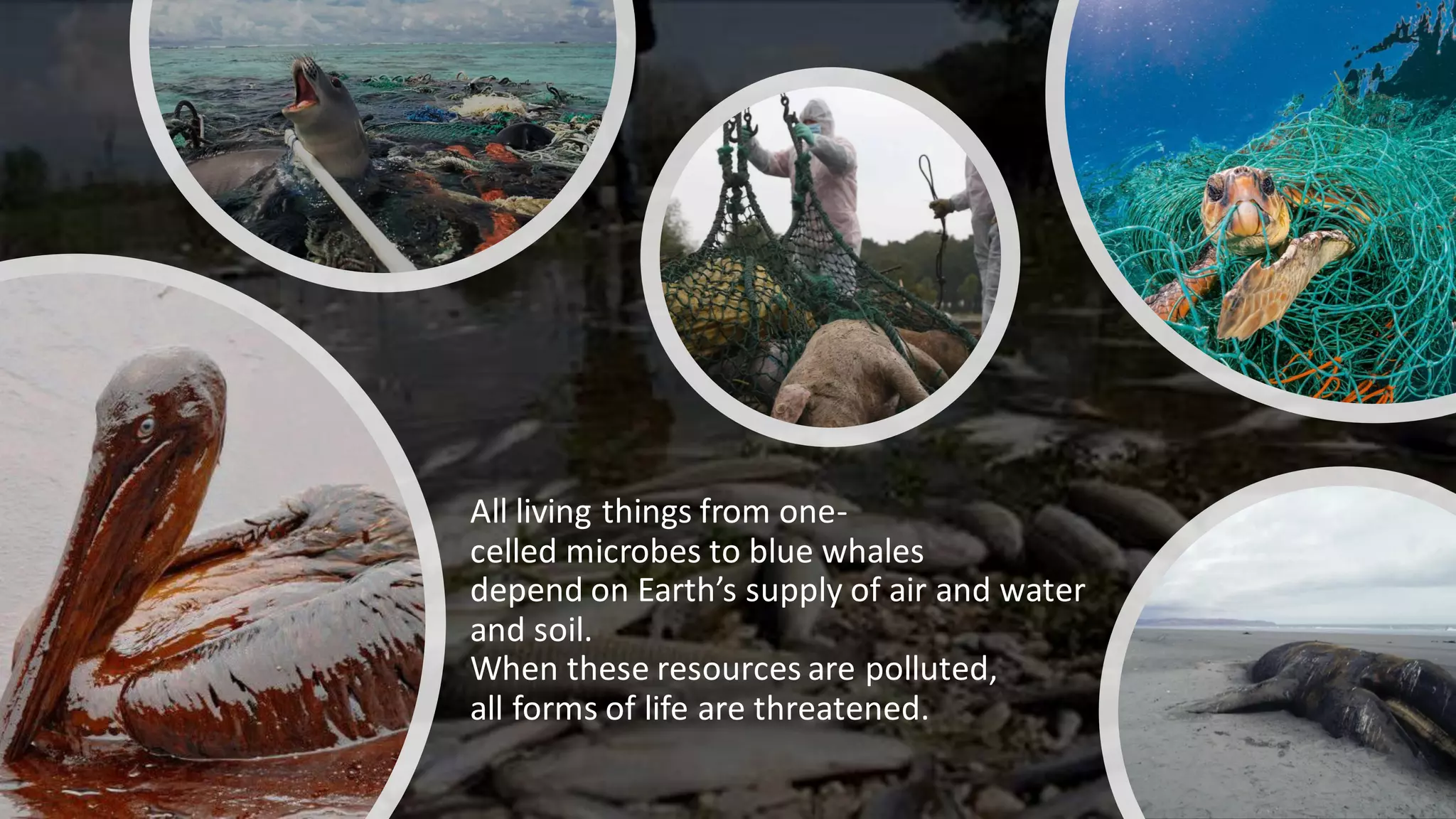 The natural pollution and the anthropogenic pollution | PDF