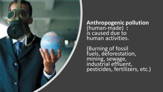 The natural pollution and the anthropogenic pollution | PDF