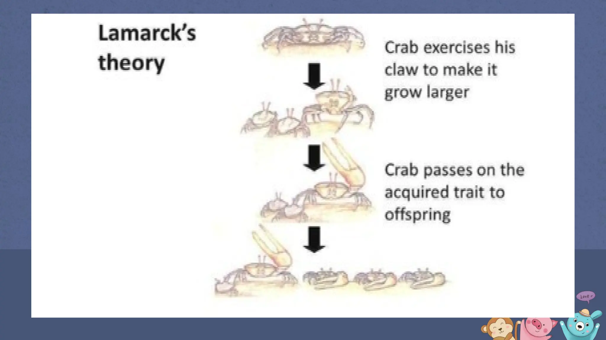 The Natural Selection of Giraffes By Darwin and Lamarck.pptx