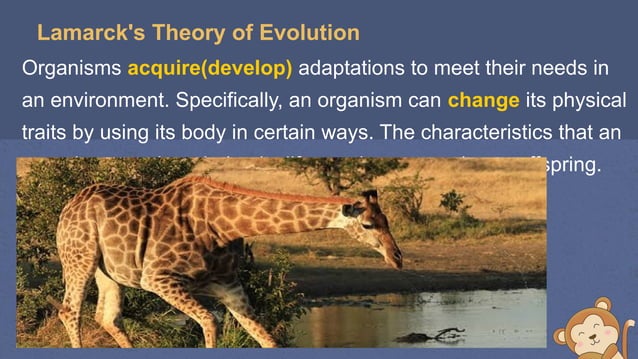 The Natural Selection of Giraffes By Darwin and Lamarck.pptx