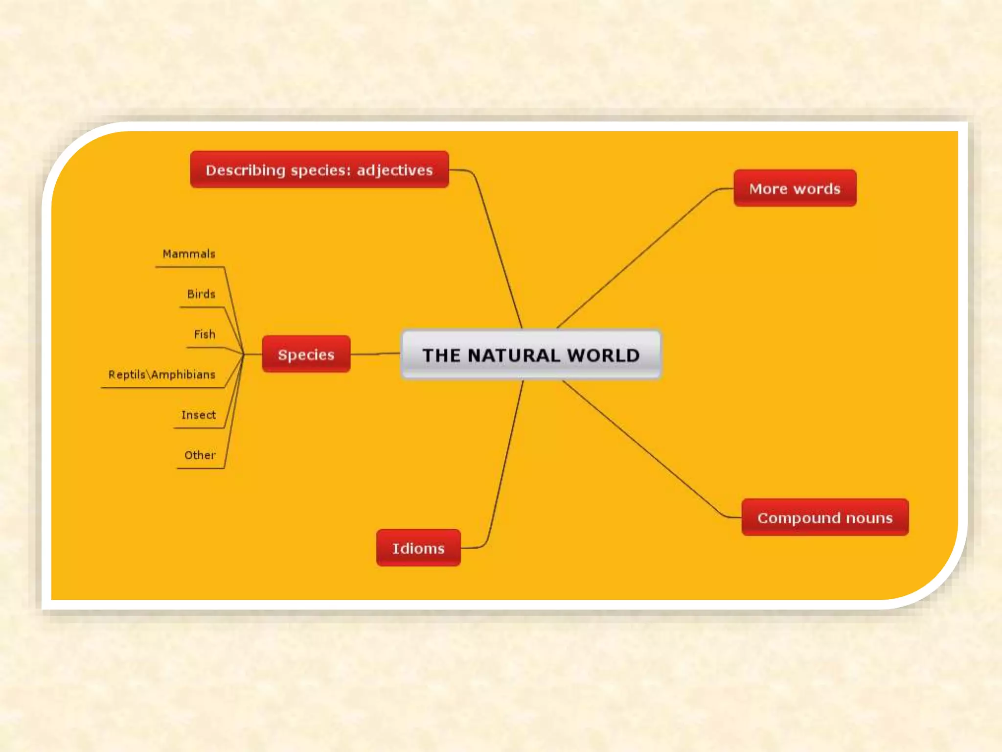The natural world | PPT