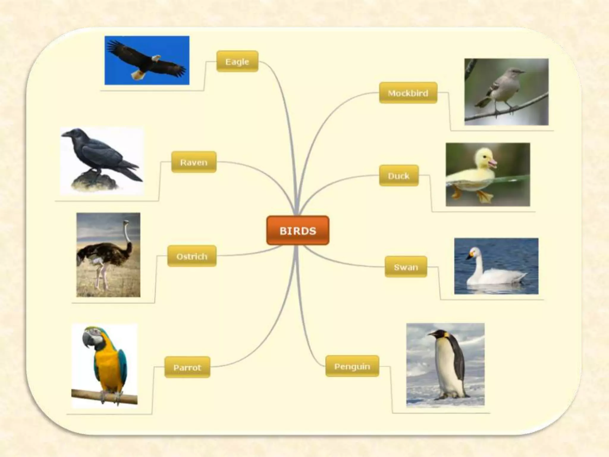 The natural world | PPT