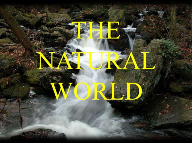 The natural world | PPT