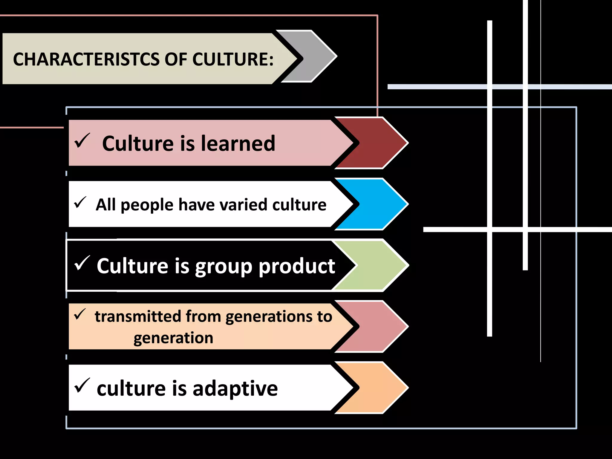 The nature and meaning of culture | PPTX