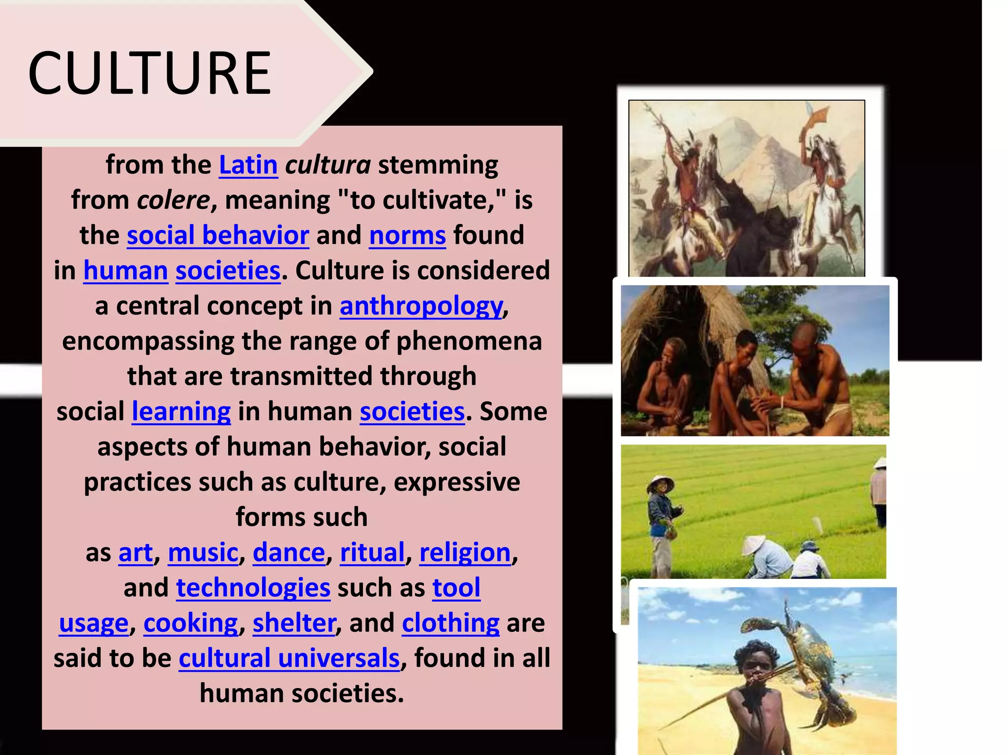 The nature and meaning of culture | PPTX