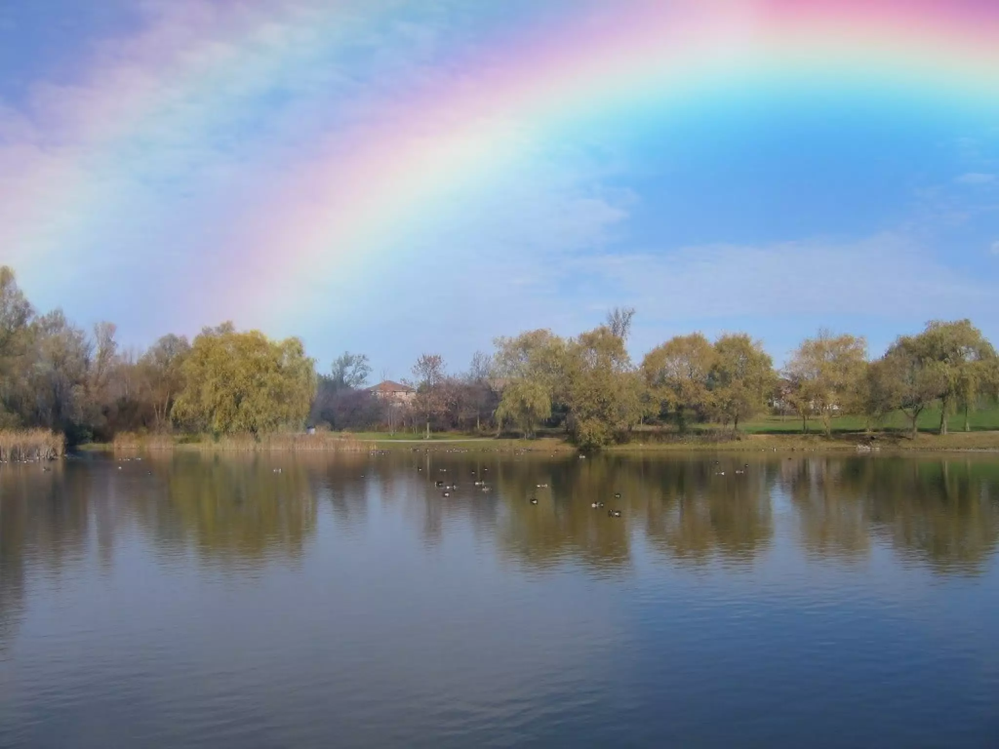 The nature and propagation of light | PPT