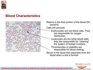 The nature of blood | PPTX