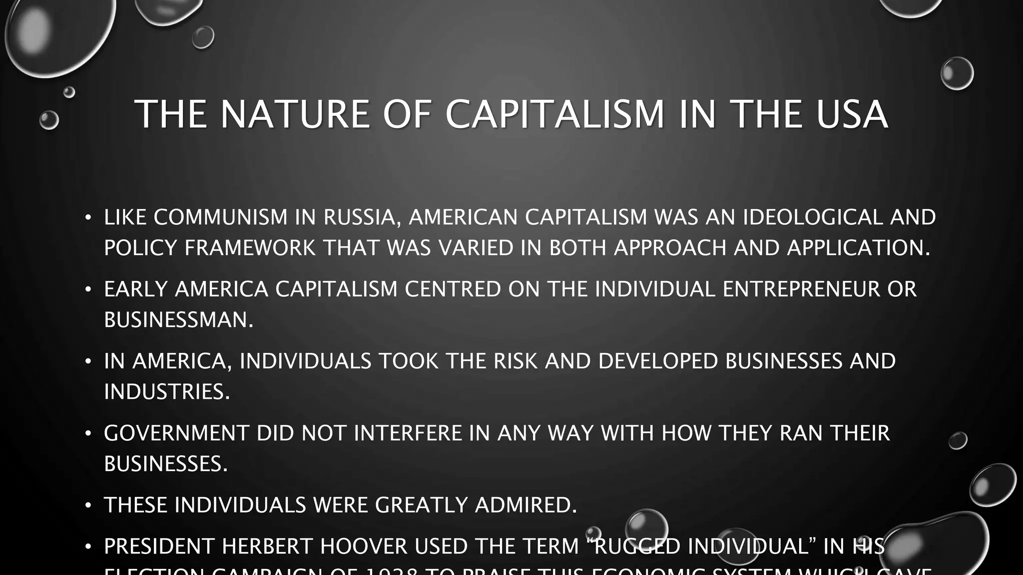 THE NATURE OF CAPITALISM IN THE USA- (final).pptx