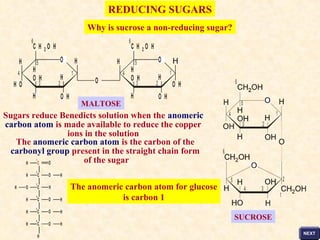 Sucrose Non Reducing Sugar