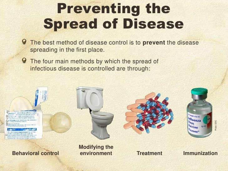 The Nature Of Disease Controlling Disease