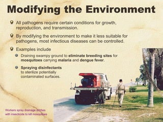 The Nature Of Disease What Is Disease | PPT