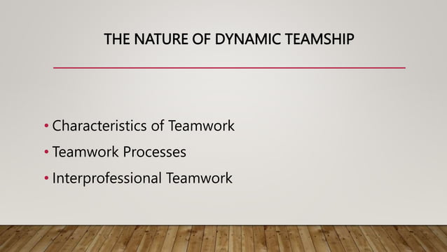 THE NATURE OF DYNAMIC TEAMSHIP and PRCESSESS.pptx