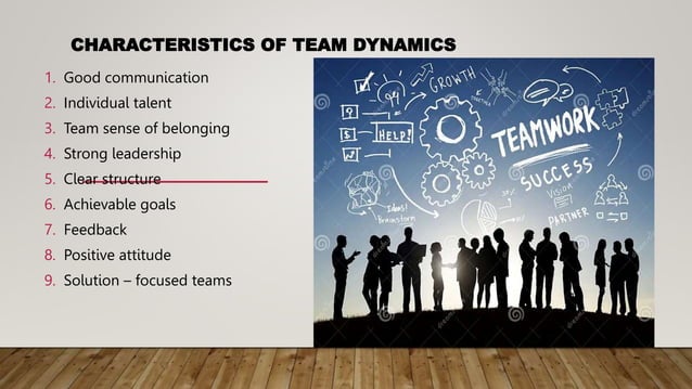 THE NATURE OF DYNAMIC TEAMSHIP and PRCESSESS.pptx