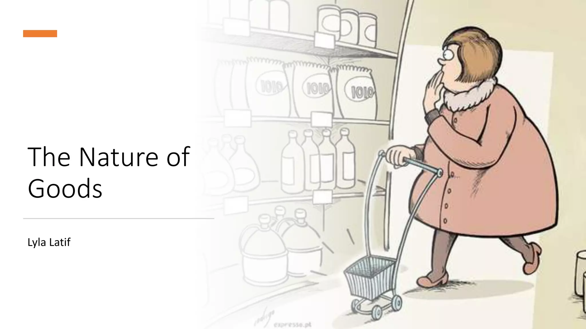 The Nature of Goods.pptx