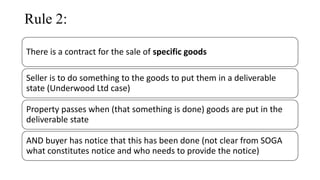The Nature of Goods.pptx