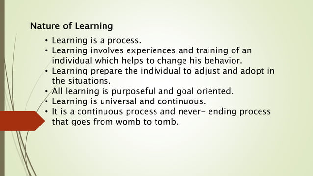 The Nature of Language and Learning.pptx