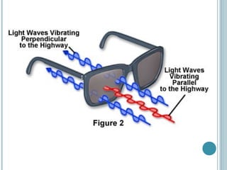 The nature of light | PPT