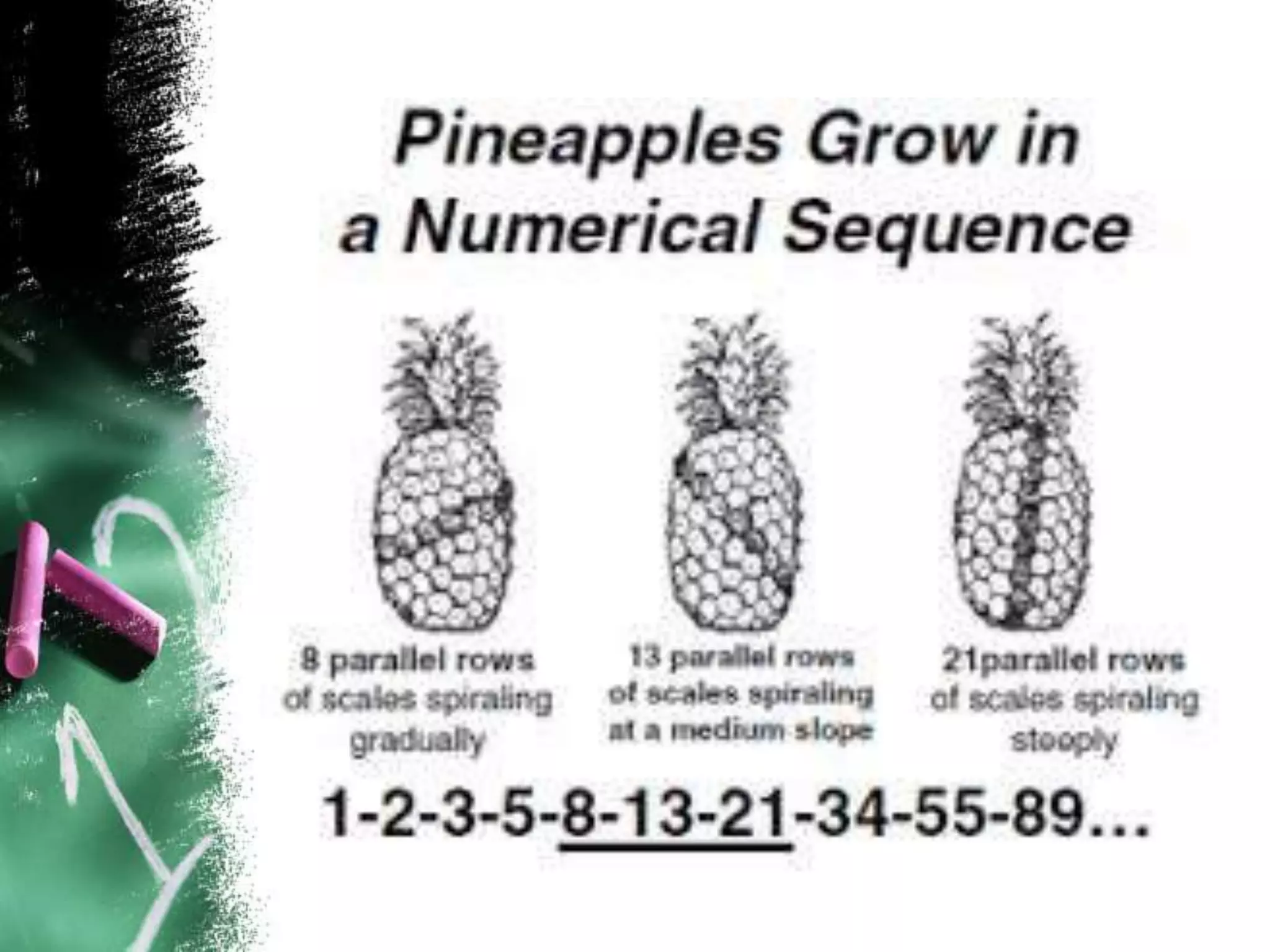 The Nature of Mathematics | PPTX
