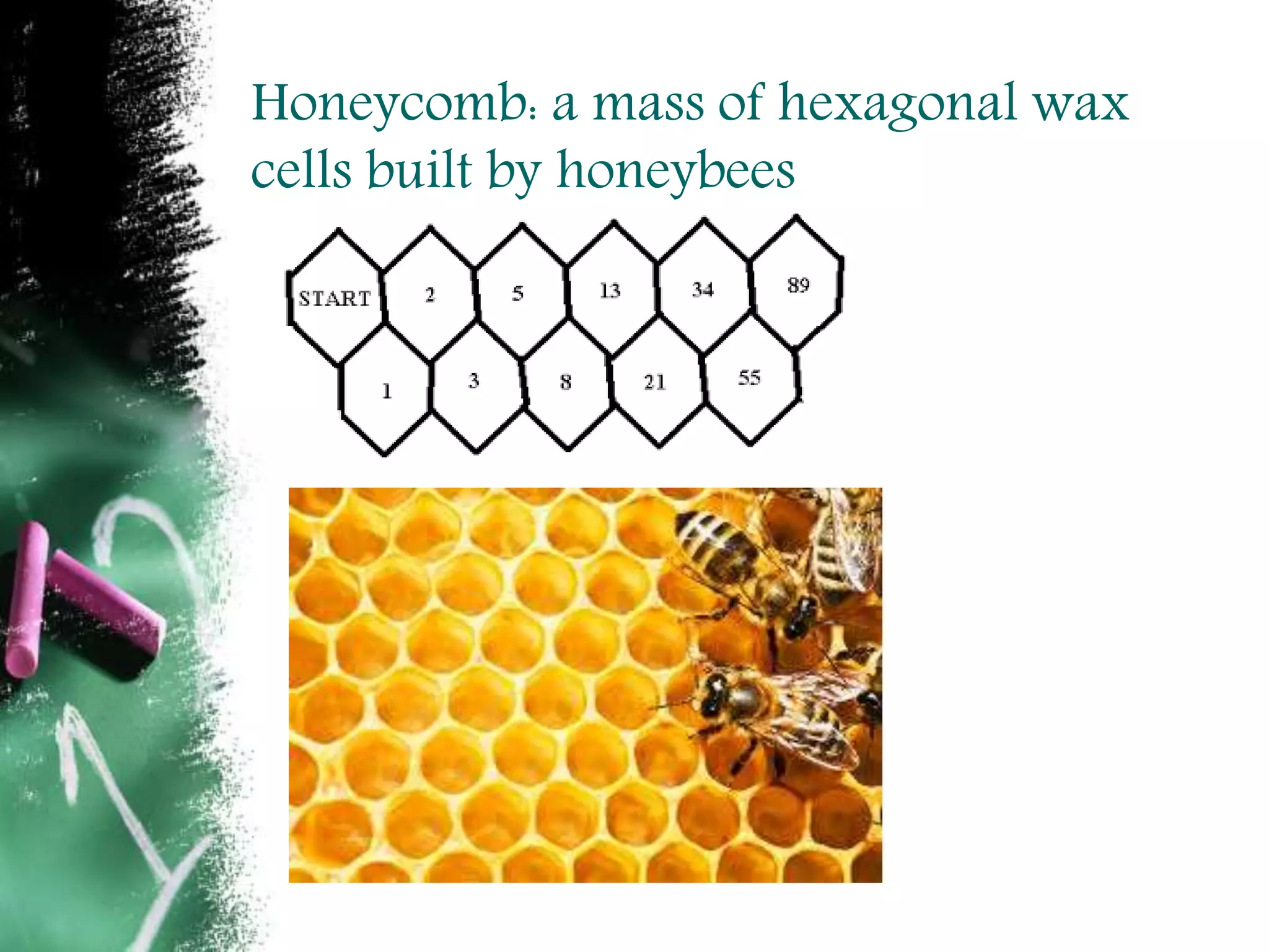 The Nature of Mathematics | PPTX