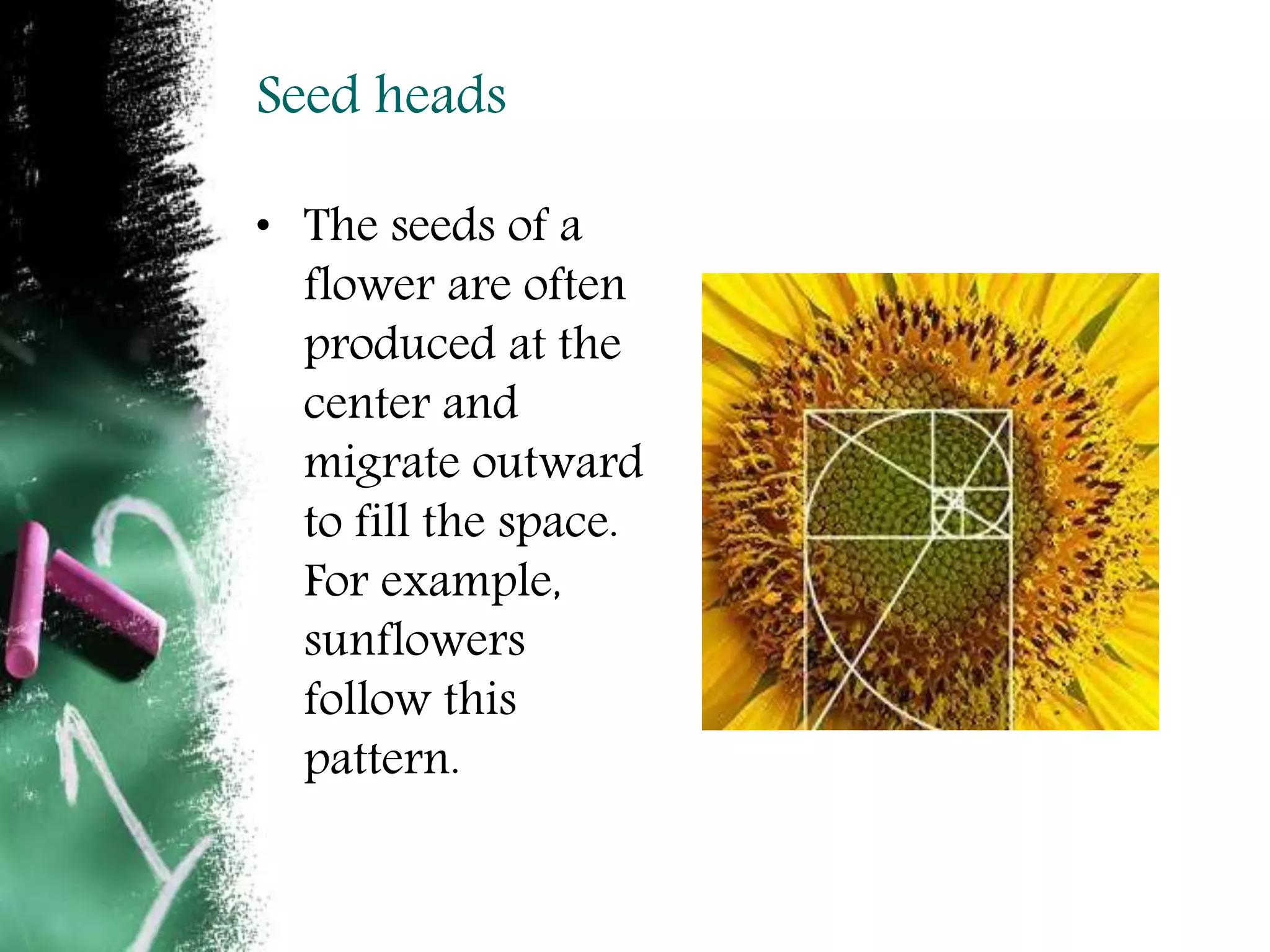 The Nature of Mathematics | PPTX