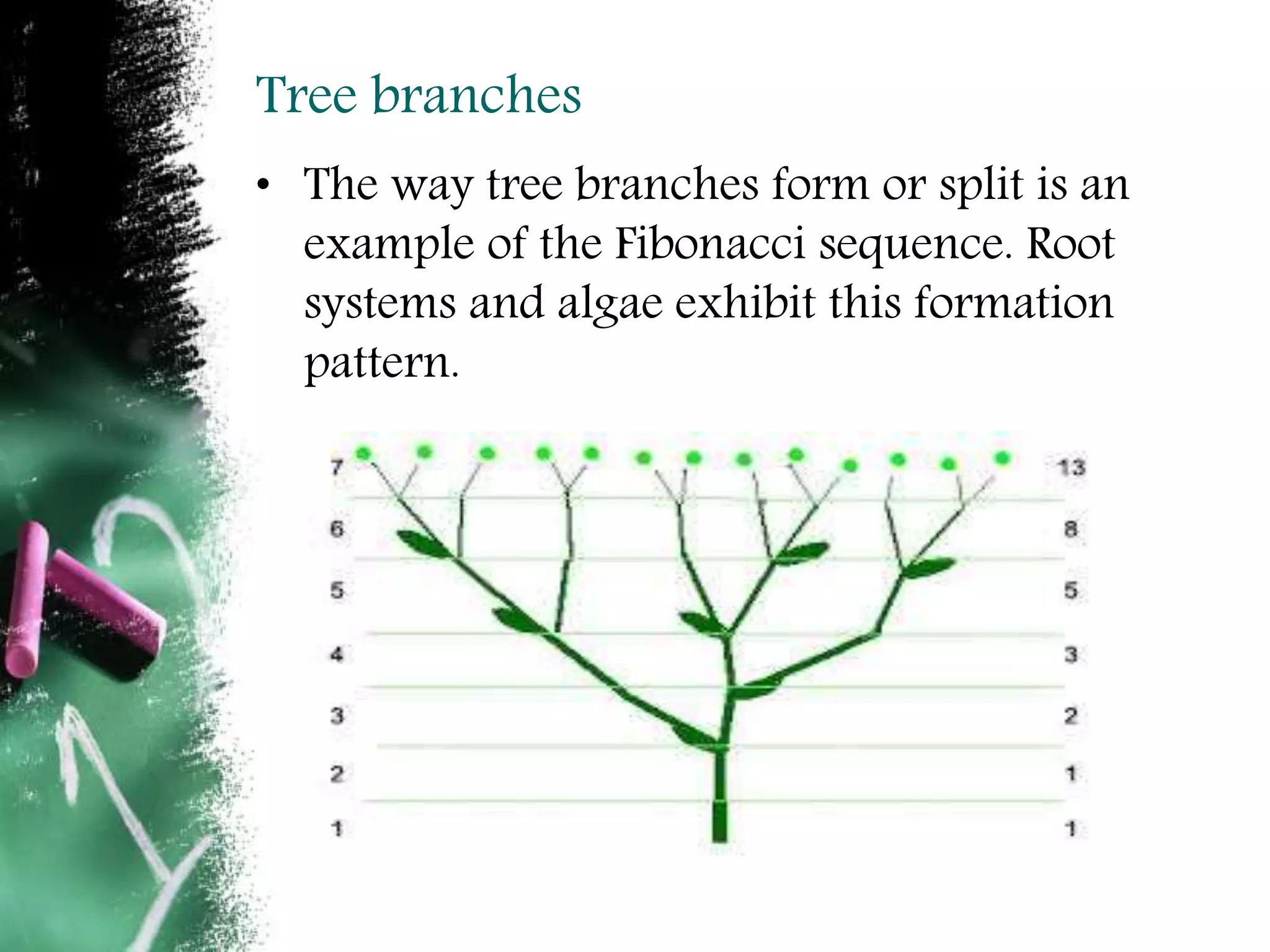 The Nature of Mathematics | PPTX