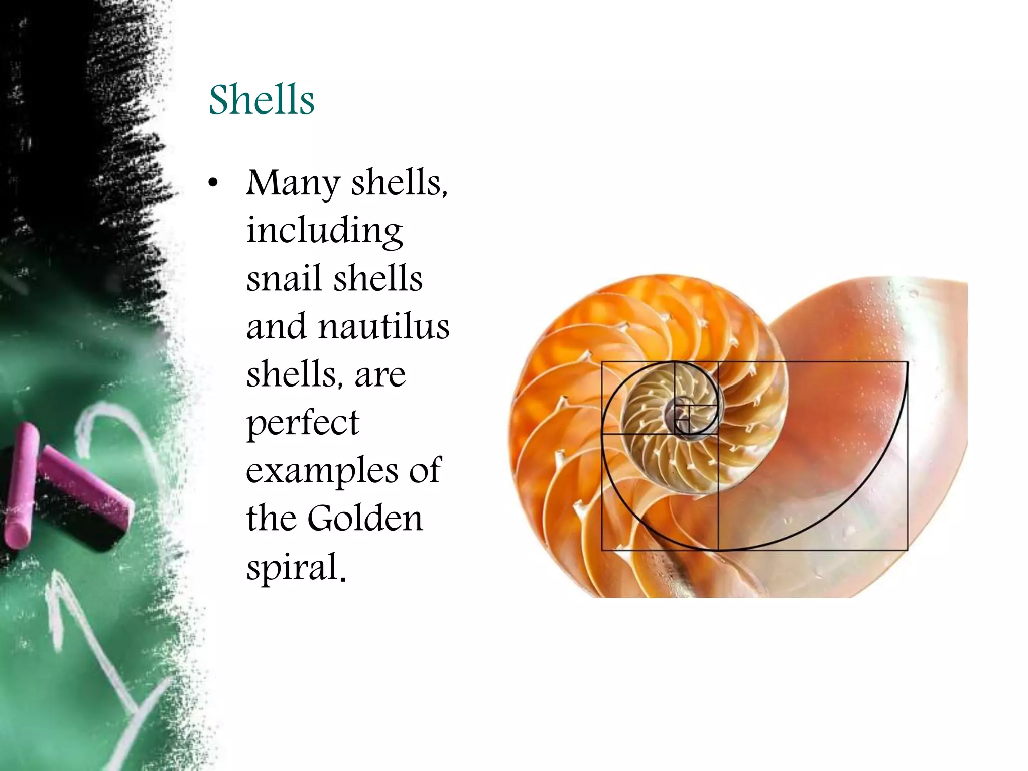 The Nature of Mathematics | PPTX