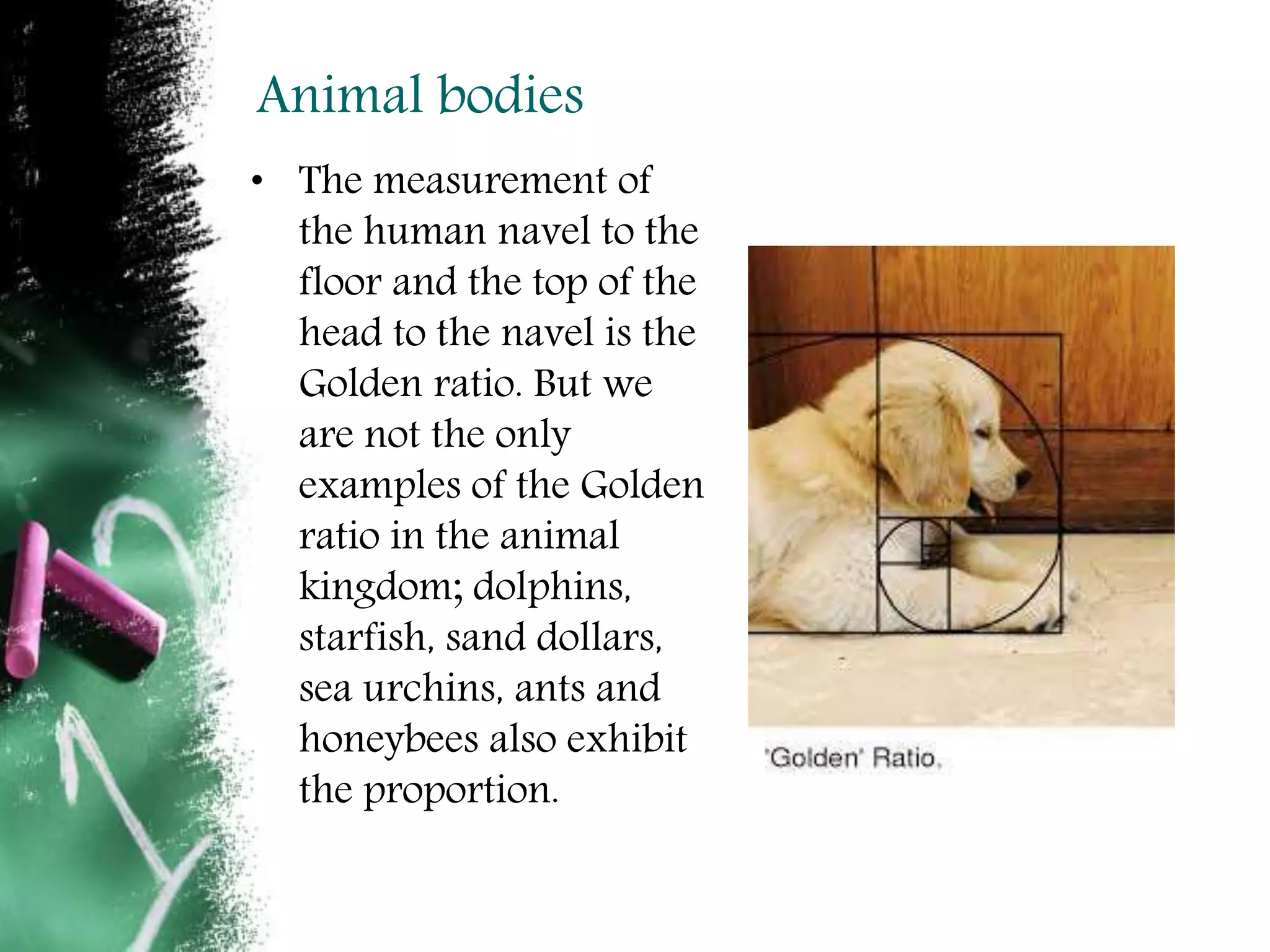 The Nature of Mathematics | PPTX