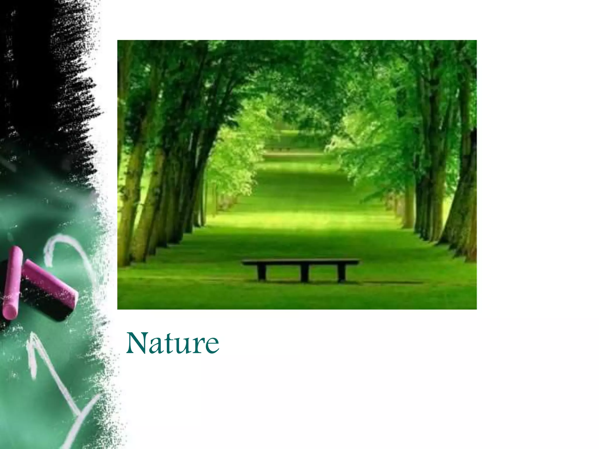 The Nature of Mathematics | PPTX