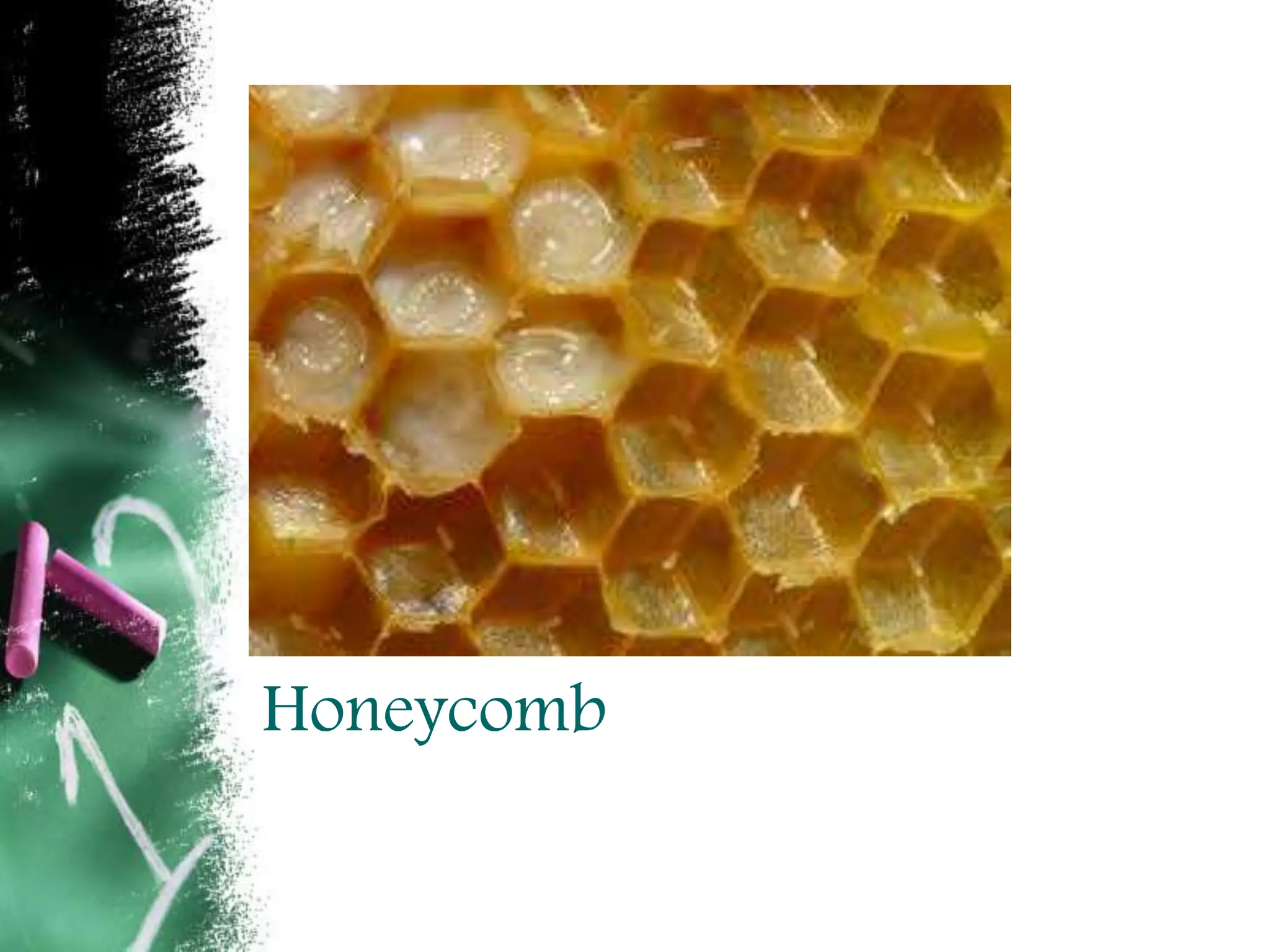 The Nature of Mathematics | PPTX