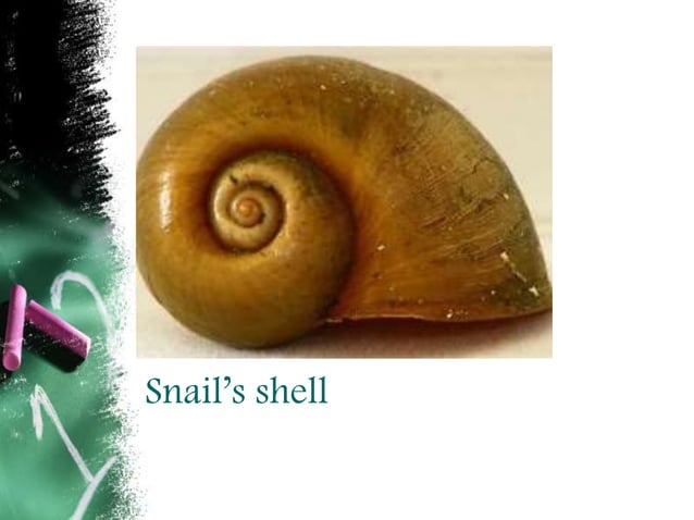 The Nature of Mathematics | PPTX | Geography | Science