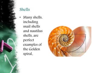 The Nature of Mathematics | PPTX